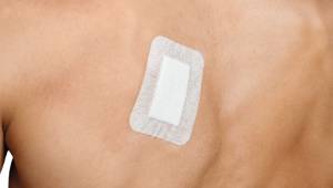 Veterinary Dressings & Wound Care