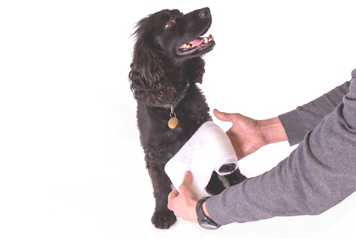 Veterinary Sector Supplies - Steroplast Healthcare